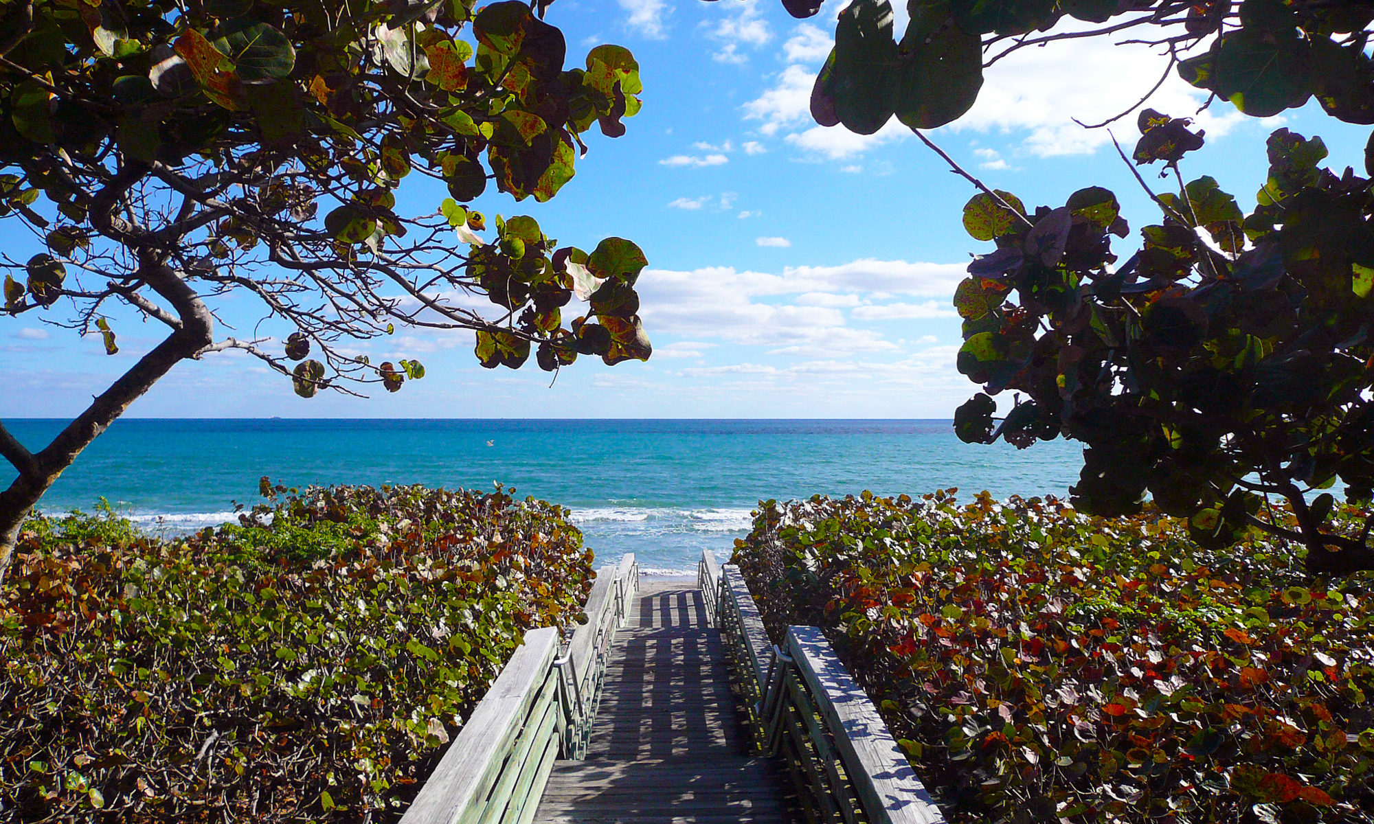 Jupiter Key Jupiter 3 Homes for Sale | Echo Fine Properties