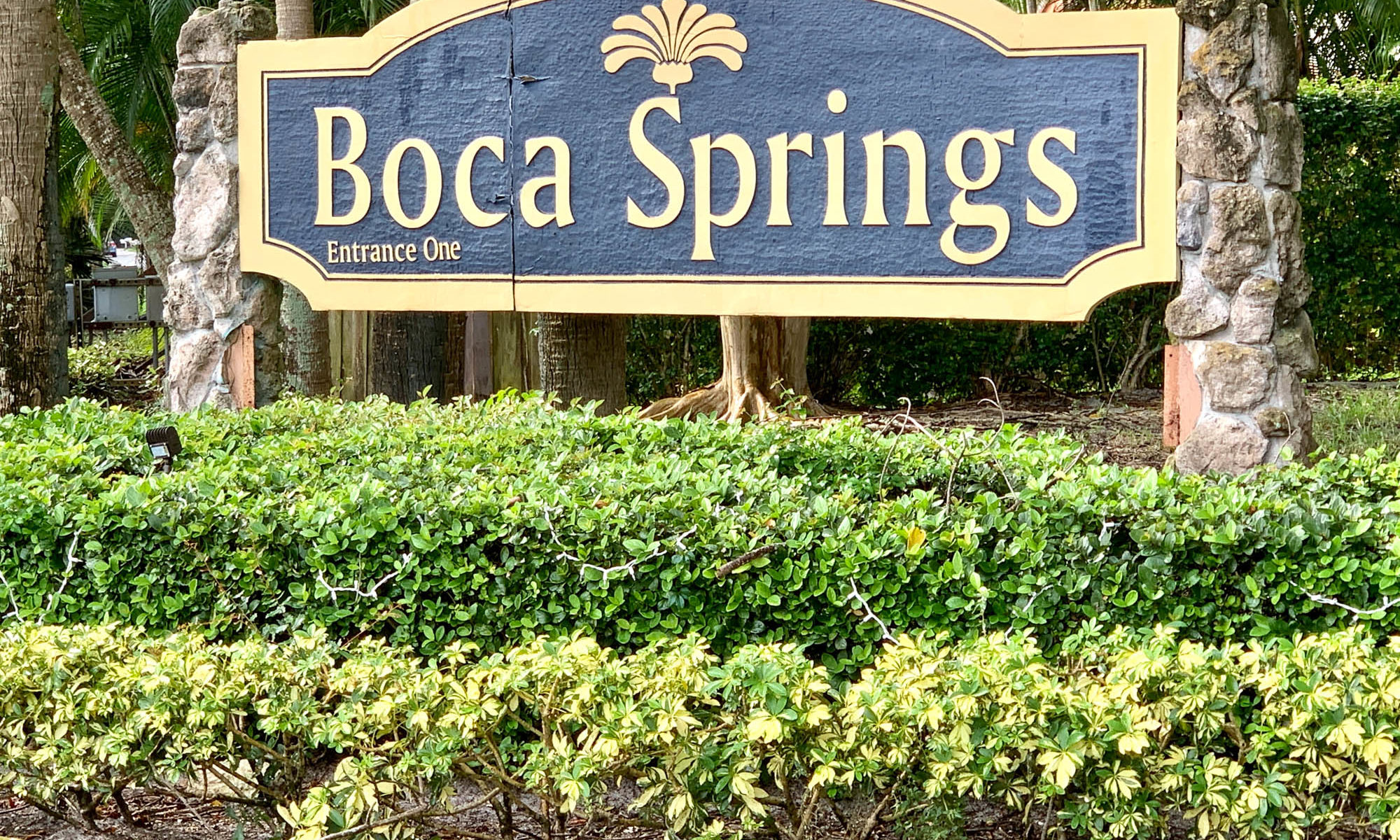 Boca Springs Boca Raton 2 Homes for Sale | Echo Fine Properties