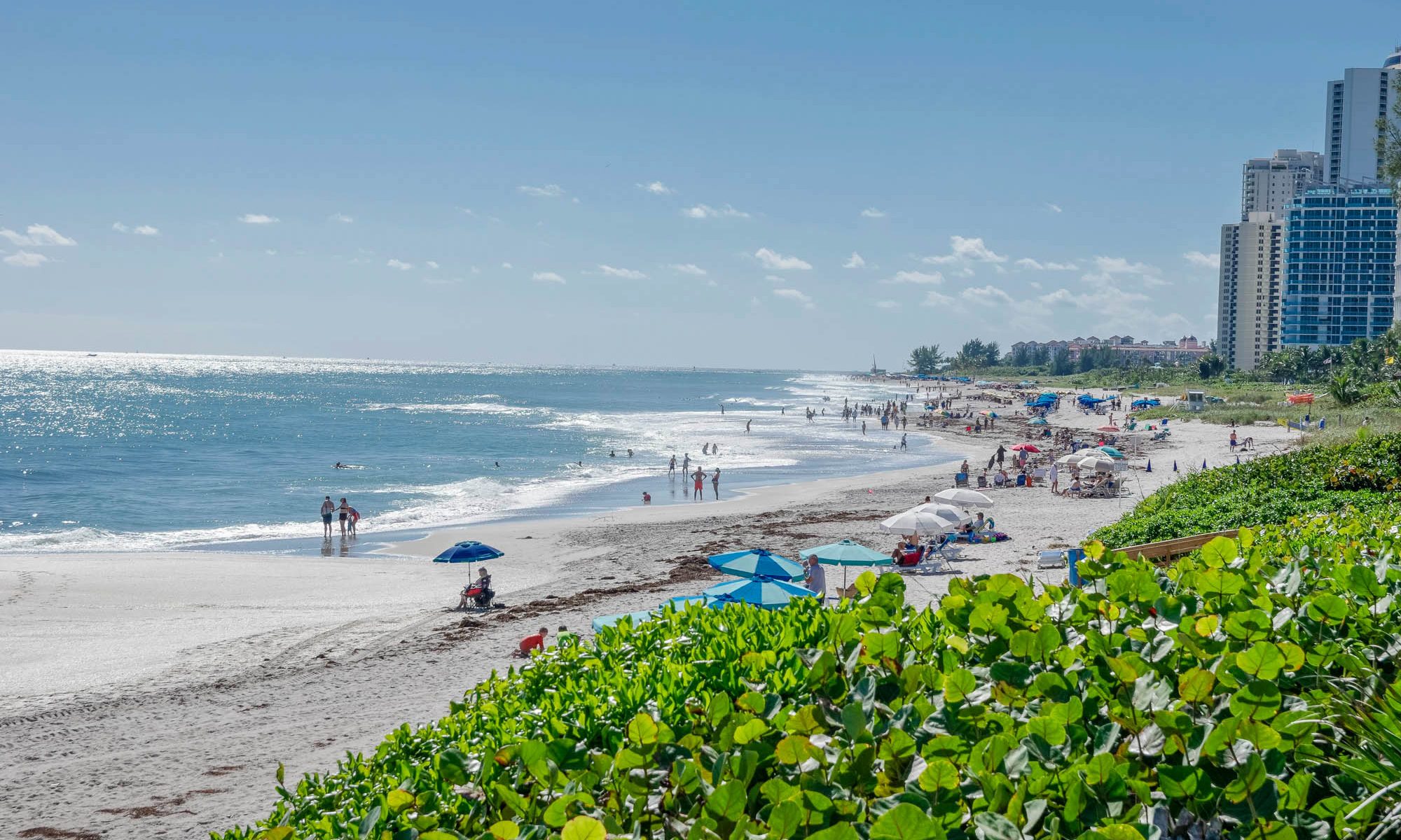 Martinique Condos Singer Island 5 Homes for Sale | Echo Fine Properties