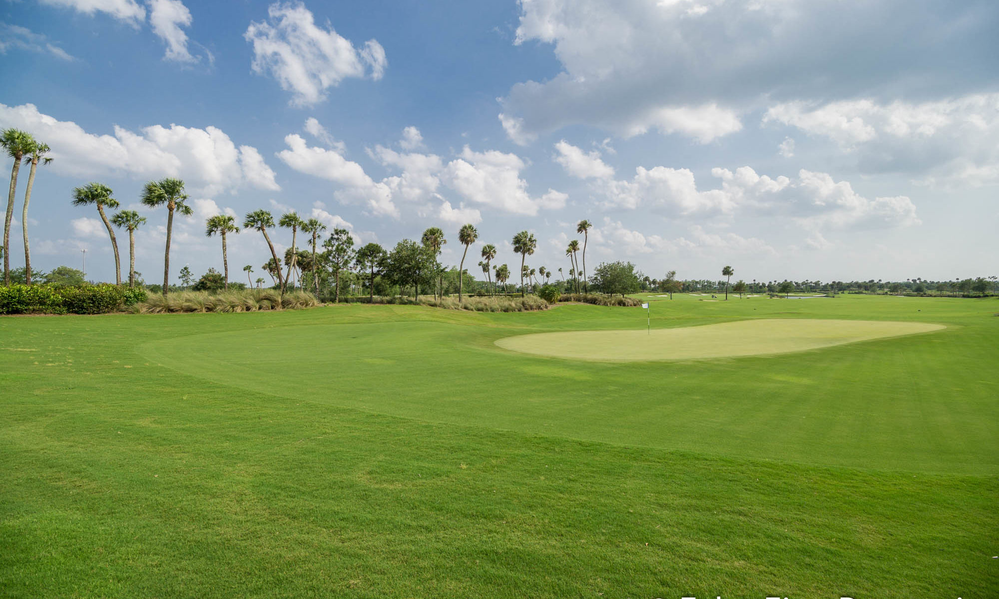 Jupiter Country Club Jupiter 12 Homes for Sale | Echo Fine Properties