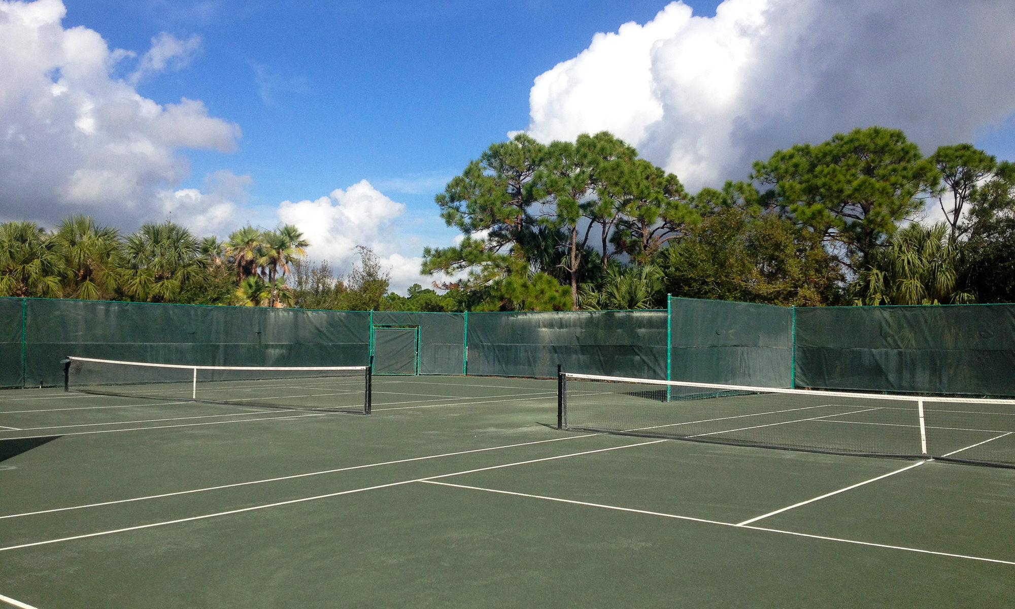 Old Marsh Golf Club Homes for Sale in Palm Beach Gardens