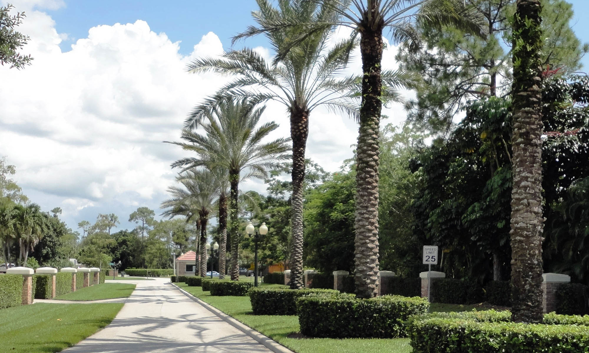 Pinewood East Wellington 3 Homes for Sale | Echo Fine Properties