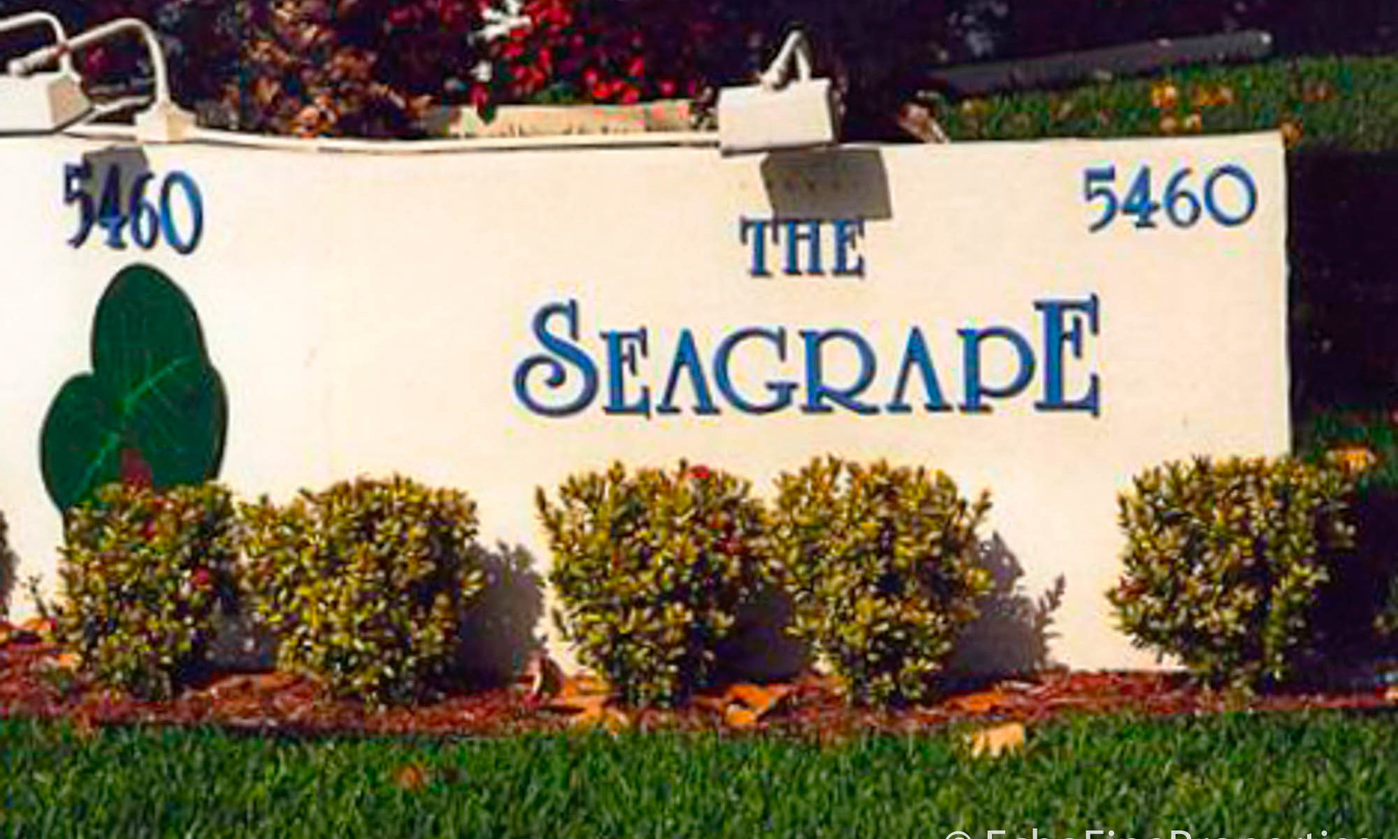 The Seagrape Singer Island 1 Home for Sale | Echo Fine Properties