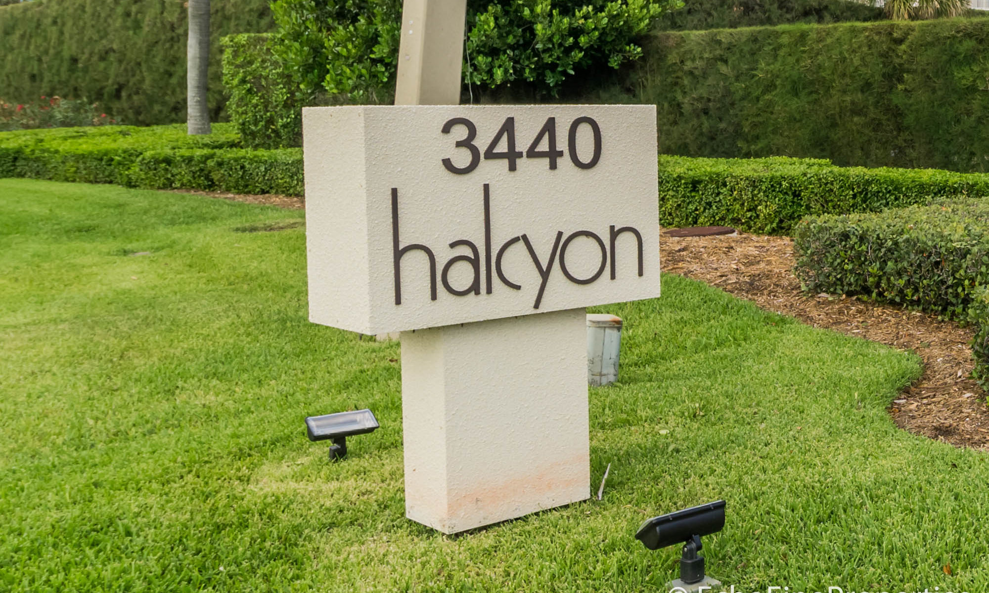 Halcyon Palm Beach 4 Homes for Sale | Echo Fine Properties